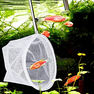 01 Fishing Net, Fishing Catch Net, Long Handled Fishing Net Retractable Fishing Net Telescoping for Fishes Crab Shrimps Lobster