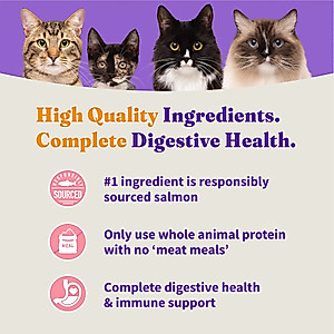 Halo Holistic Kitten Food Dry , Grain Free Wild - caught Salmon and Whitefish Recipe, Complete Digestive Health , Dry Cat Food Bag , Kitten Formula, 6-lb Bag