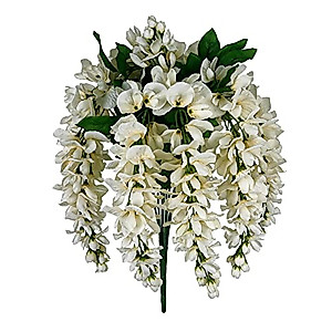 Ashland Michaels Cream Wisteria Bush