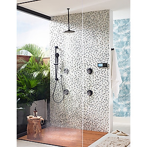 Moen Mosaic Matte Black Round Two-Function Body Spray, Valve Required, TS1422BL