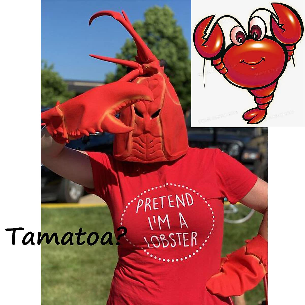 Valentoria Fun Lobster Crab Claws Gloves Hands Weapon Cospaly Toy Halloween Costume Pretend Dress Up Play Game Party Festival Gag Props (Hands)