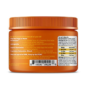 Zesty Paws Dog Allergy Relief - Anti Itch Supplement - Omega 3 Probiotics for Dogs - Digestive Health - Soft Chews for Skin & Seasonal Allergies - with Epicor Pets - Puppy - Lamb - 90 Count