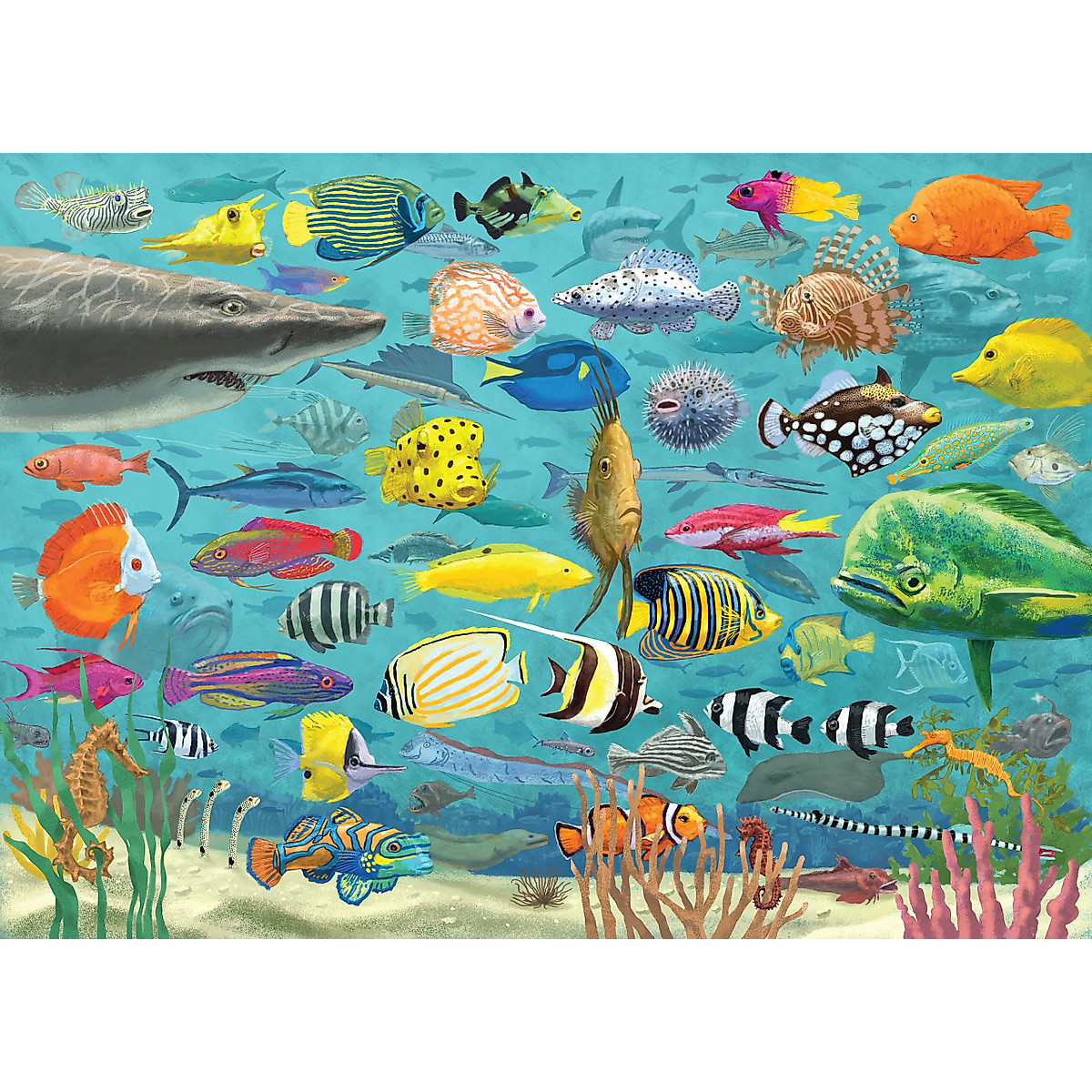PETER PAUPER PRESS All The Fish 1000 Piece Jigsaw Puzzle