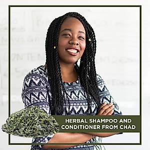 Roselle Naturals Ambunu Shampoo 150 grams, Detangler Shampoo from Chad, Africa, Ambunu Leaves for Hair Growth Shampoo Herbal, Ambunu Powder Herbal Shampoo Organic, African Shampoo for Hair Growth