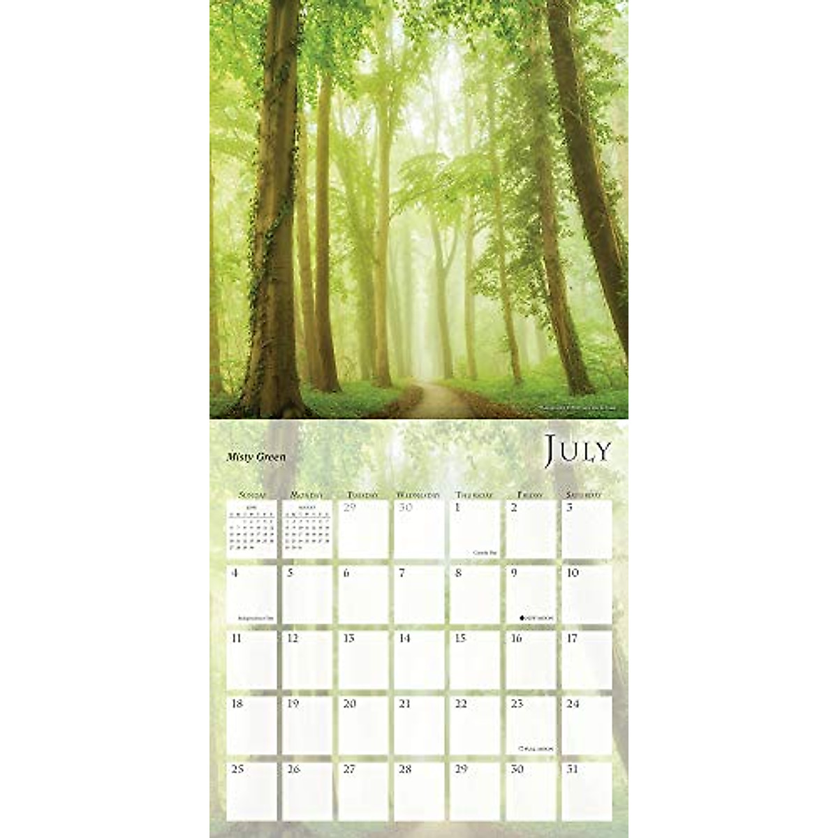 2021 Enchanted Pathways: Photography by Lars van de Goor 16-Month Wall Calendar