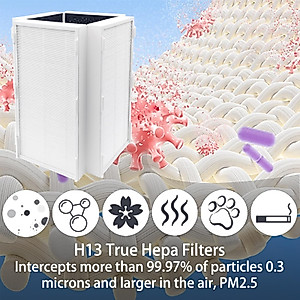 Replacement Filter Compatible With Cuisinart CAP-1000: H13 True Hepa Filter Compatible With Cuisinart CAP-1000FPK PuRXium Air Purifier