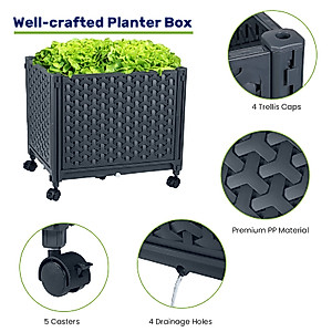 LINEX Raised Garden Bed Planter Box with Trellis, 67.6” Tomato Planters for Climbing Plants Vegetable Vine Flowers Outdoor Patio, Tomatoes Cage w/Self-watering & Wheels