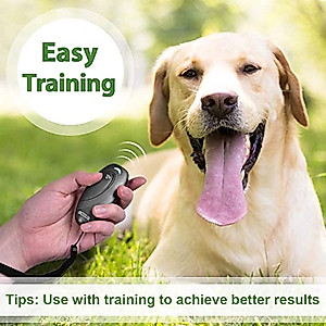 Ultrasonic Dog Barking Deterrent, MODUS 2 in 1 Dog Training and Bark Control Device, Anti-Barking Device, Control Range of 16.4 Ft, Wrist Strap, Battery Included, LED Indicate, Indoor and Outdoor