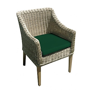 Outdoor Cushion Cover,Modern Minimalism Hunter Green Waterproof Patio Seat Cushion Replacement Covers,St Patricks Olive Green Furniture Protector Slipcovers for Couch Sofa Chair,20''x18''x2pcs