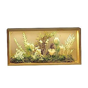 Luminous Picture Frames Diy Dry Flower Picture Frame Forest World Photo Frame Wood Frame Preserved Flowers Farmhouse Picture Frames Poster Frame Double Sided Display Box Room Decor Birthday Gifts (B)