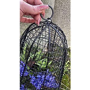 RUAFOX 6 Pack Metal Garden Cloches - 20" High Plant Cover - Weather Resistant Wire Plant Dome - Rustic Farmhouse Chic Decor - with 12 Copper Labels