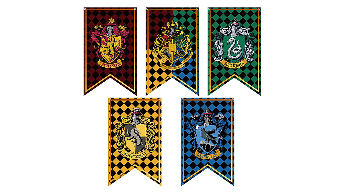 Magical Wizard Birthday Decorations Logo Flags Wall Decals Witch Wizard ...