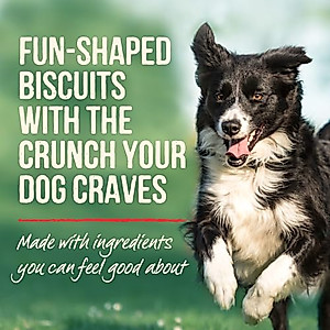 Merrick Oven Baked Dog Treats, Natural and Crunchy Bag of Treats, Pumpkin Patch with Real Pumpkin Snack - 11 oz. Bag