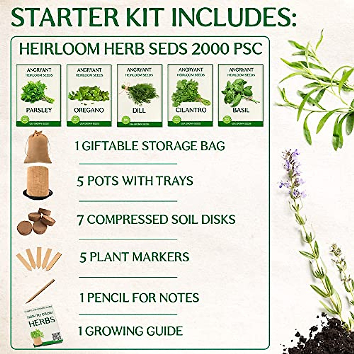 Medicinal Herbs Starter Kit - Non GMO, Heirloom Seeds - Basil, Parsley, Cilantro (Coriander), Oregano, Dill - Includes Pots, Soil, Bamboo Plant Markers - Gardening Gift