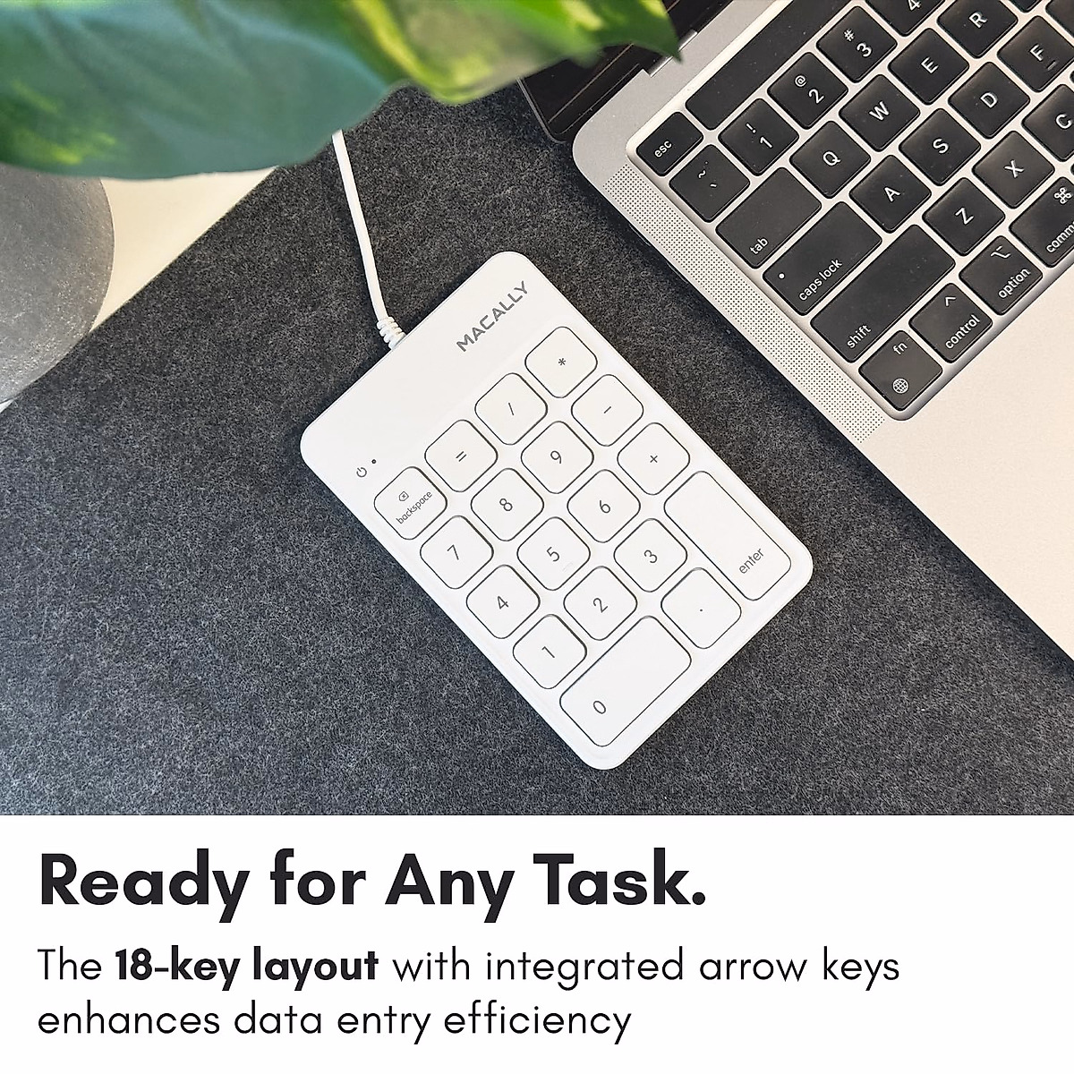 Macally USB Numeric Keypad | Wired Number Pad | External Number Pad for Laptop Computer Desk PC Mac (Perfect for Data Entry) 10 Key USB Keypad
