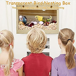 PINVNBY Natural Wood Parakeet Nesting Box Budgie Breeding Box Acrylic Bird Nest for Cage Transparent Panoramic for Parrots, Cockatiels, Lovebirds, Canaries and Other Small Birds