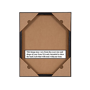 Amanti Art Framed Canvas Wall Art 23x33 Pl 306 Great Northern Diver or Loon by John James Audubon, Framed Wall Art Canvas, Animals Artwork, Country Rustic Decor, Large Poster Painting for Living