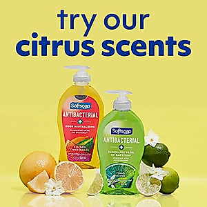 Softsoap Antibacterial Liquid Hand Soap, Fresh Citrus Scent Hand Soap, 11.25 Ounce, 6 Pack