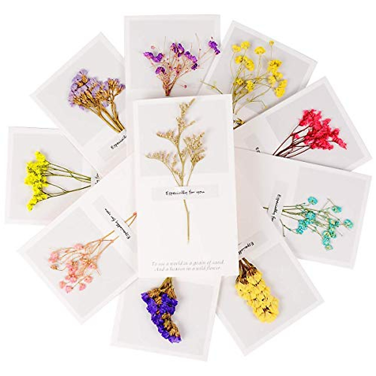 Andy Anand Red Velvet Cheesecake 9" Fresh Made in Traditional Way, Amazing-Delicious-Decadent & Greeting Card, Birthday Valentine, Christmas, Mothers Fathers day, Anniversary Gourmet Food (2 lbs)