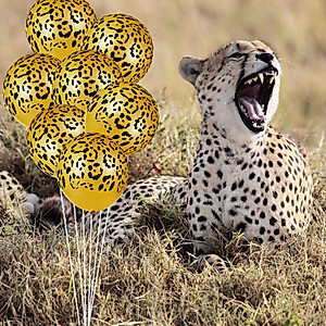 Gejoy 36 Pieces Leopard Balloons Cheetah Balloons Leopard Print Balloons Jungle Animal Balloons Leopard Spots Latex Balloons for Jungle Zoo Animals Party Supplies