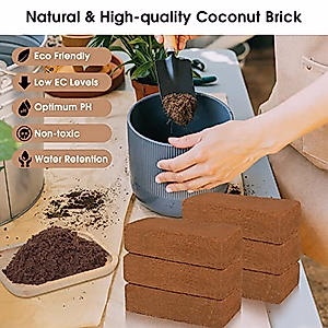 200 Pack 30mm Peat Pellets Seed Starter Pods, Seed Starter Soil Peat Pellets for Seedlings, Seeds Starting Peat Pellet for Planting Starter Pods Seeding Soil Peat Soil