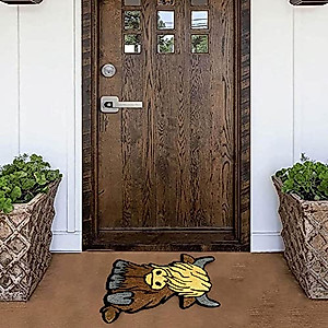 SuanlaTDS Highland Cow Bath Mat,Cute Cartoon Animal Doormat Funny Bathroom Rug Fluffy Doormat Kitchen Toilet Floor Rug Decor