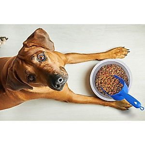 Van Ness 2 Cup Capacity Pet Food Scoop (Single), Blue