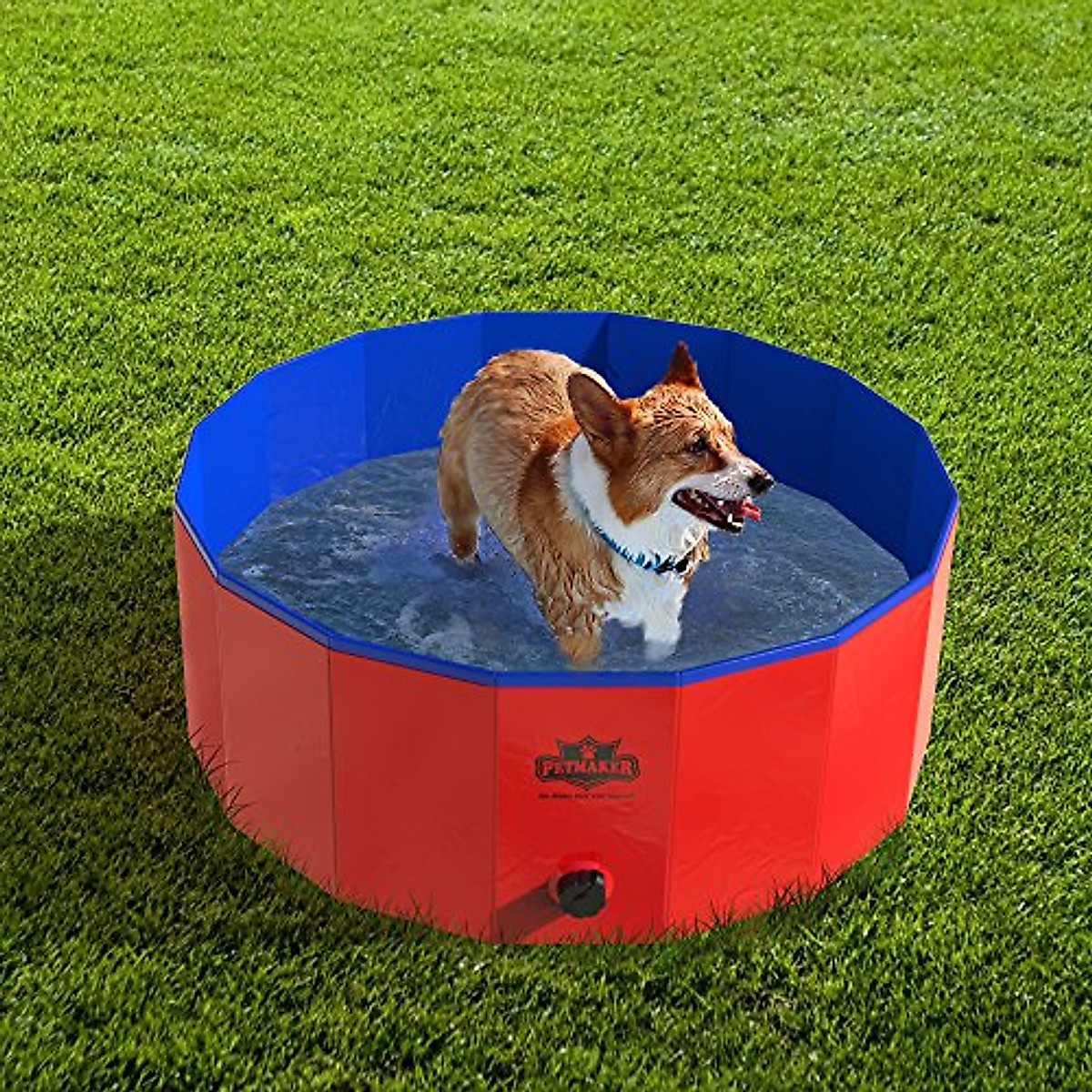 Dog Pool - Portable, Foldable 30.5-Inch Doggie Pool with Drain and Carry Bag - Pet Swimming Pool for Bathing or Play by PETMAKER (Red)