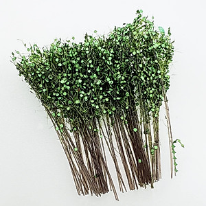 Woohome Green Miniature Shrubs Model Bushes Long Shrub Vegetation Groups Model Grass Tufts for DIY Architecture Building Model Railway Train Diorama Garden Scenery Landscape Layout