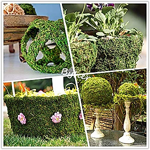 BYHER Dried Moss Mat for Wedding Birthday Party Fairy Garden Decorations, Dark Green (Green - 14" X 9")