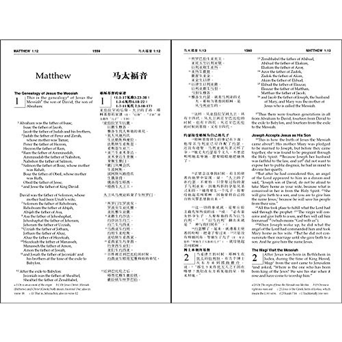 CUV (Simplified Script), NIV, Chinese/English Bilingual New Testament, Paperback, Red (Chinese Edition)
