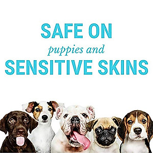 DogFresh Soothing, Cleansing, Dander Removing Spray for Dogs and Cats with Problem Skin