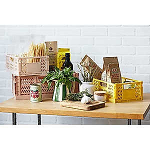 3 Sprouts Recycled Plastic Collapsible Crate - Stackable Folding Storage Crate for Organization for Adults & Kids - Foldable Plastic Crate - Large - Clay