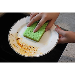 Natural Sponge by Scrubit - 24-Pack - Biodegradable Cellulose Natural Sponges for Dishes with a Tough Eco-Friendly Scouring Pad for Kitchen and Bathroom – Non-Stick Plant-Based Compostable Sponges