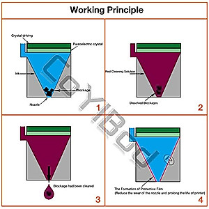 CoYlBod Sublimation Printers Printhead Cleaning Kit Compatible for Epson WF-7210 WF-7110 WF- 7720 WF-7710 WF-7620 WF-7520 WF-2510 WF-2520 XP-310 XP-314 XP-410 XP-420 XP-424 XP-434 100ml Nozzle Cleaner