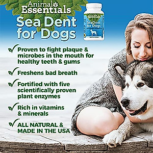 Animal Essentials SeaDent Kelp & Enzyme Plaque & Tarter Control for Dogs, 2.5 oz - Made in USA, Healthy Teeth & Gums