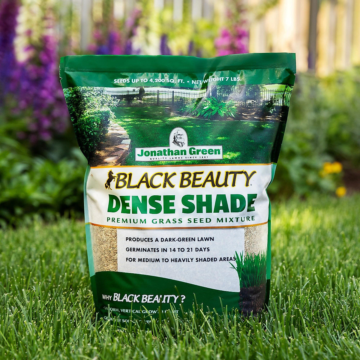 Jonathan Green (10622) Black Beauty Dense Shade Grass Seed - Cool Season Lawn Seed (1 lb)