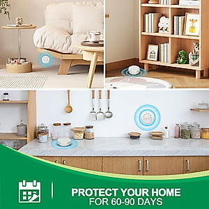 6 Pack Peppermint Mouse Repellent - Rat Repellents for Outdoor Car Engines Garages House, Rat Deterrent, All Pest Repellent for Mice, Rats, Snake, Squirrel