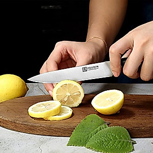 PAUDIN Chef Knife, 5 inch Professional Kitchen Utility Knife Forged of German Stainless Steel, Ultra Sharp Kitchen Knife with Triple Rivet G10 handle