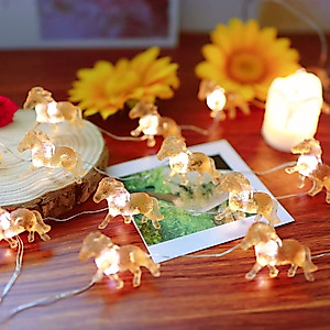 JASHIKA Horse Fairy String Lights Cute Pony Decorative Lights 20 Leds Night Light 8.5ft Battery Operated with Remote for Bedroom Farmhouse Home Holiday Thanksgiving Decoration