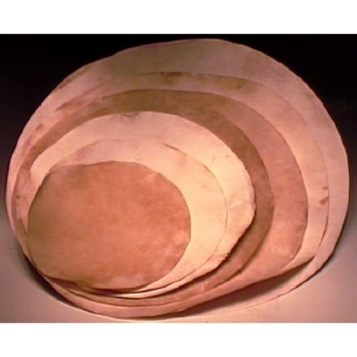 Goat Skin Djembe Head | Goatskin for Drum Doumbek| Natural Flat Round Piece GOAT SKIN Head untanned by AnNafi (10 inches)