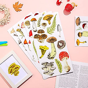 Geyoga 6 Pcs Vintage Mushrooms Rub on Transfers Mushroom Scrapbook Stickers Botanical Furniture Decals for DIY Arts Crafts Scrapbooking Diary Album Journals Nightstand Home Decor, 6 x 12 Inches