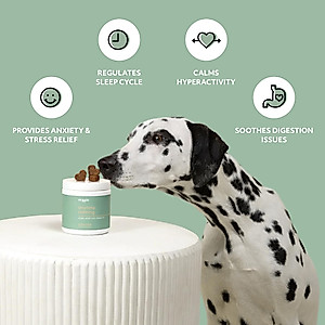 Reggie Anytime Calming Chews for Dogs | Natural Calming Dog Treats to Reduce Hyperactivity, Separation Anxiety, & Stress | Vet-Approved & Ideal for All Ages, Breeds, and Sizes - 60 Soft Chews