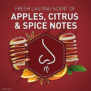 Old Spice Bearglove, 30 oz