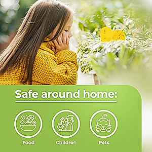 Fruit Fly Trap (20 Pack), Double-Sided Yellow Sticky Traps (Indoor & Outdoor), Fruit Fly Traps for Kitchen & Plants, Fruit Fly Killer - Sticky Gnat Trap Indoor Solution, Fungus Gnat Traps