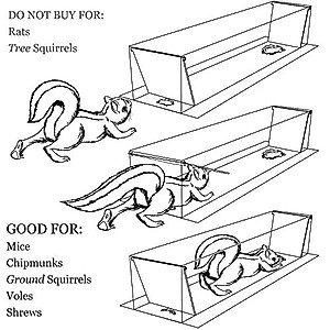 Grandpa Gus's CCT-2 Humane Live Catch & Release Critter & Rodent Trap, Indoor/Outdoor Reusable with No Poison/Glue & No Killing (Pack of 2)