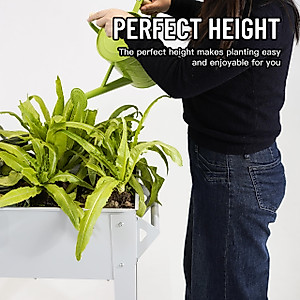 LEETOLLA 𝐑𝐚𝐢𝐬𝐞𝐝 𝐆𝐚𝐫𝐝𝐞𝐧 𝐁𝐞𝐝 𝐎𝐮𝐭𝐝𝐨𝐨𝐫 Elevate Herb Garden Planter Box Outdoor Raised Planter Box with Legs On Wheels for Vegetables Flower Tomato Patio Backyard