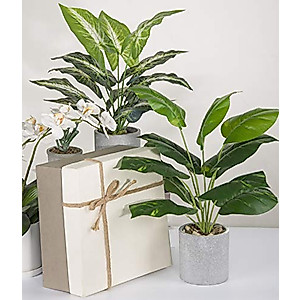 JC nateva 16" Small Fake Plants Artificial Potted Faux Plants for Office Desk Shelf Bathroom Home Decor