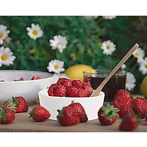 Palais Essentials Farmhouse Decor Porcelain Mini Dipping Bowls Sauce Dishes - Set of 4 Elegant White Soy Sause Dish (2 Oz Round Shape)