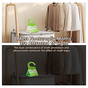 UltraPestcide Moth Traps for Clothes, 6 Pack - Clothing Moth Traps with Pheromones Attractant, Moth Sticky Trap for Closets & Carpet & Wardrobes, Indoor Clothes Moth Killer